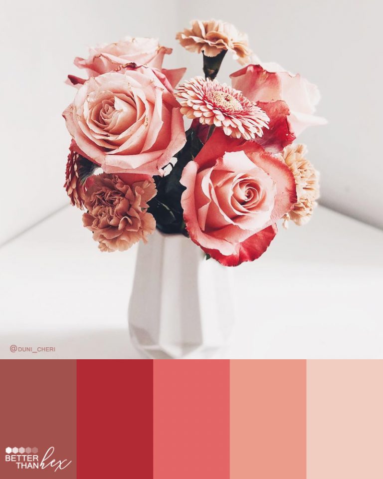 Blushing Pink Flowers – Better Than Hex – Color Palette Inspiration