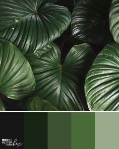 Leafy Greens – Better Than Hex – Color Palette Inspiration