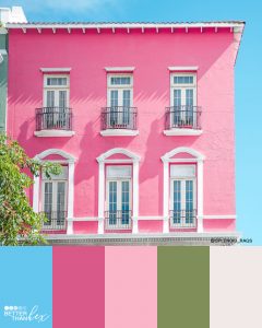Pink House – Better Than Hex – Color Palette Inspiration